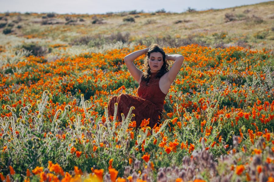 Cali Wildflower Photoshoot | Roxanne McDanel
